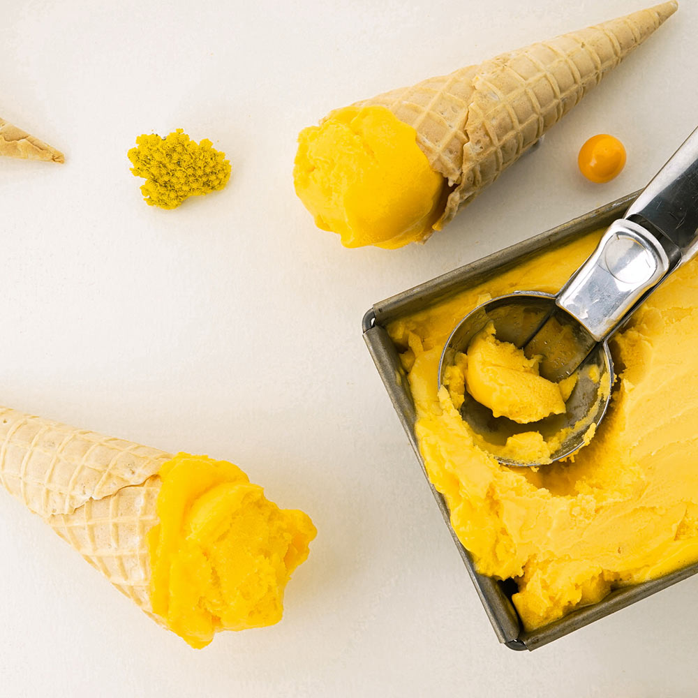 Sunny Day - Terra Icecream