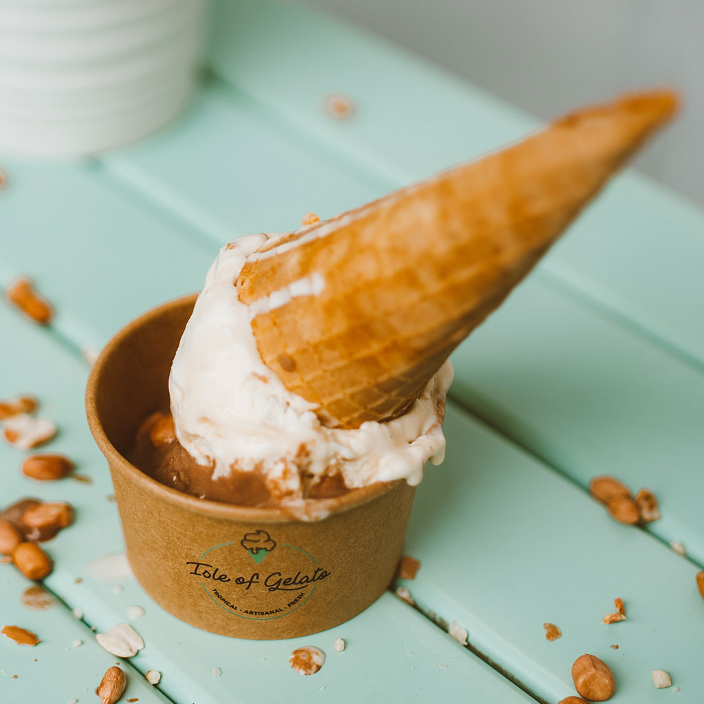 Ice Cream Shop - Terra Icecream