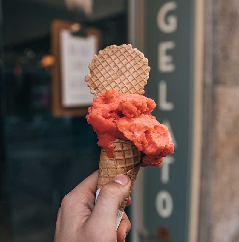 Ice Cream Shop - Terra Icecream